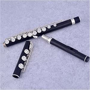 Amazon.com: Professionals Flutes Black 17 Holes Open Hole Ebony Flute ...