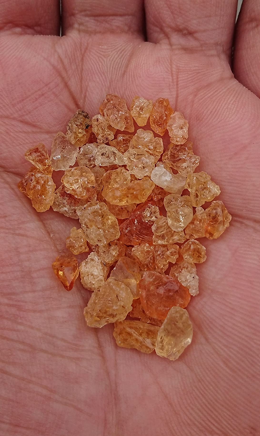 Miltop 100% Pure Natural Goond/Gaund Babul Edible, 500g : Amazon.in ...