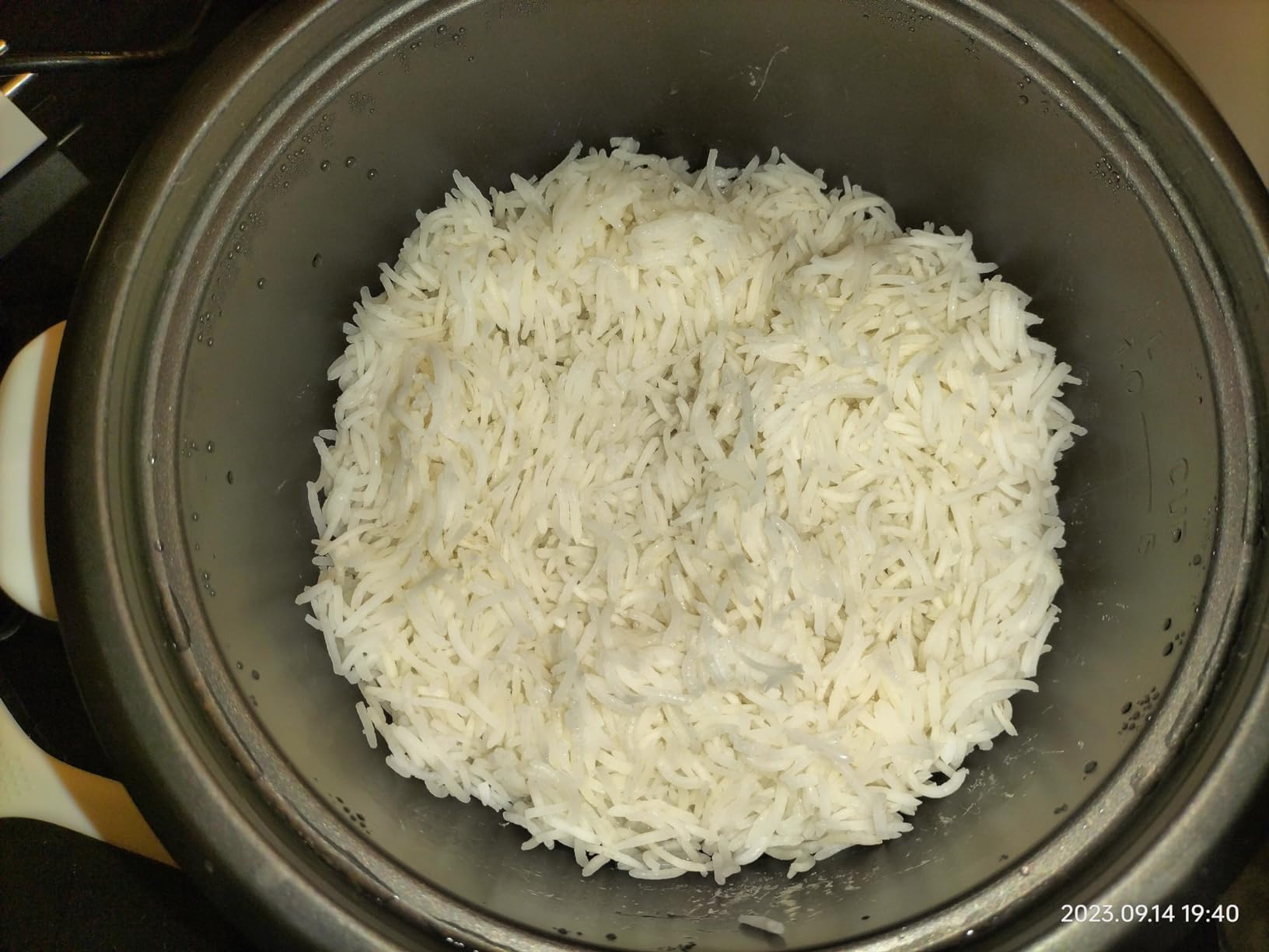 India Gate Basmati Rice Pouch, Classic, 1kg : Amazon.in: Grocery ...