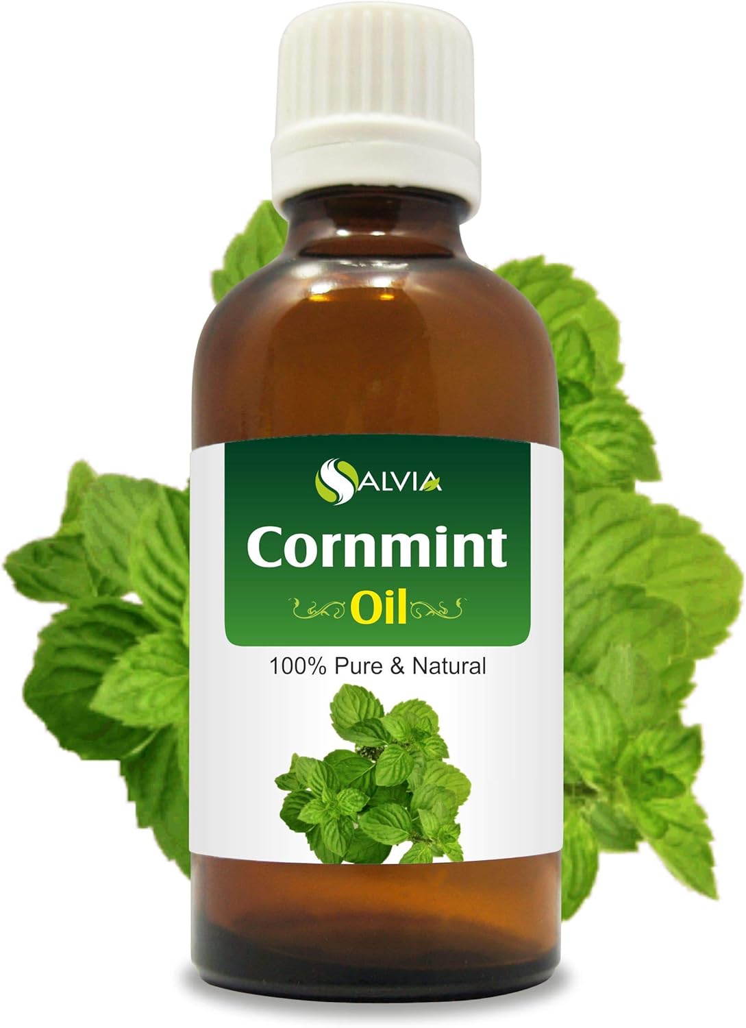 Amazon.com: Cornmint Oil (Mentha arvensis) Natural Pure Undiluted Uncut ...