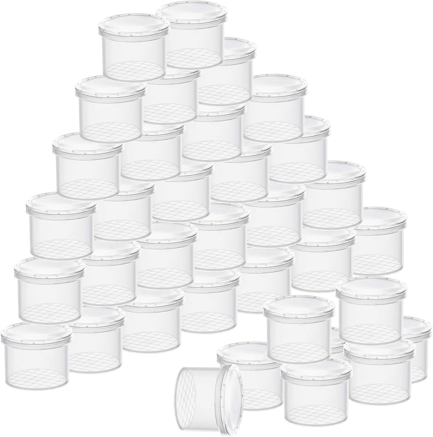 Amazon.com: Coopay 40 Pieces Bug Viewer Critter Insect Cage Magnifying ...