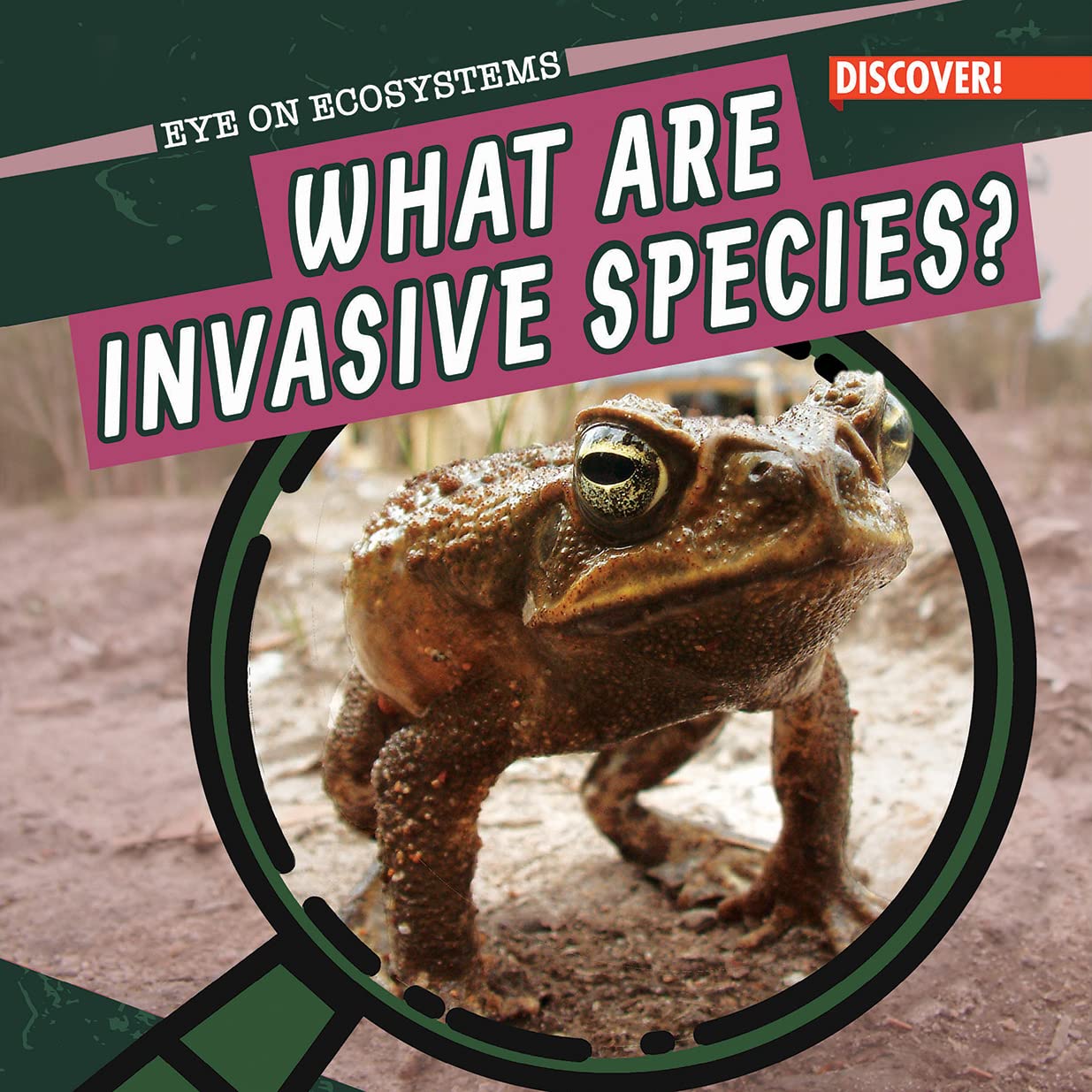 What Are Invasive Species? (Eye on Ecosystems): Emminizer, Theresa ...