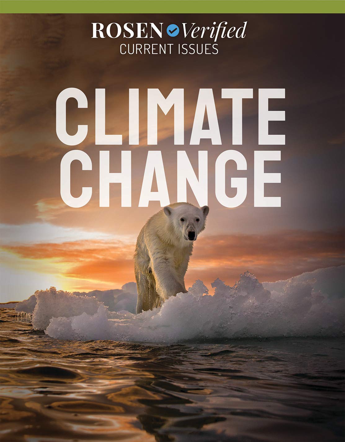 Amazon.com: Climate Change (Rosen Verified: Current Issues ...