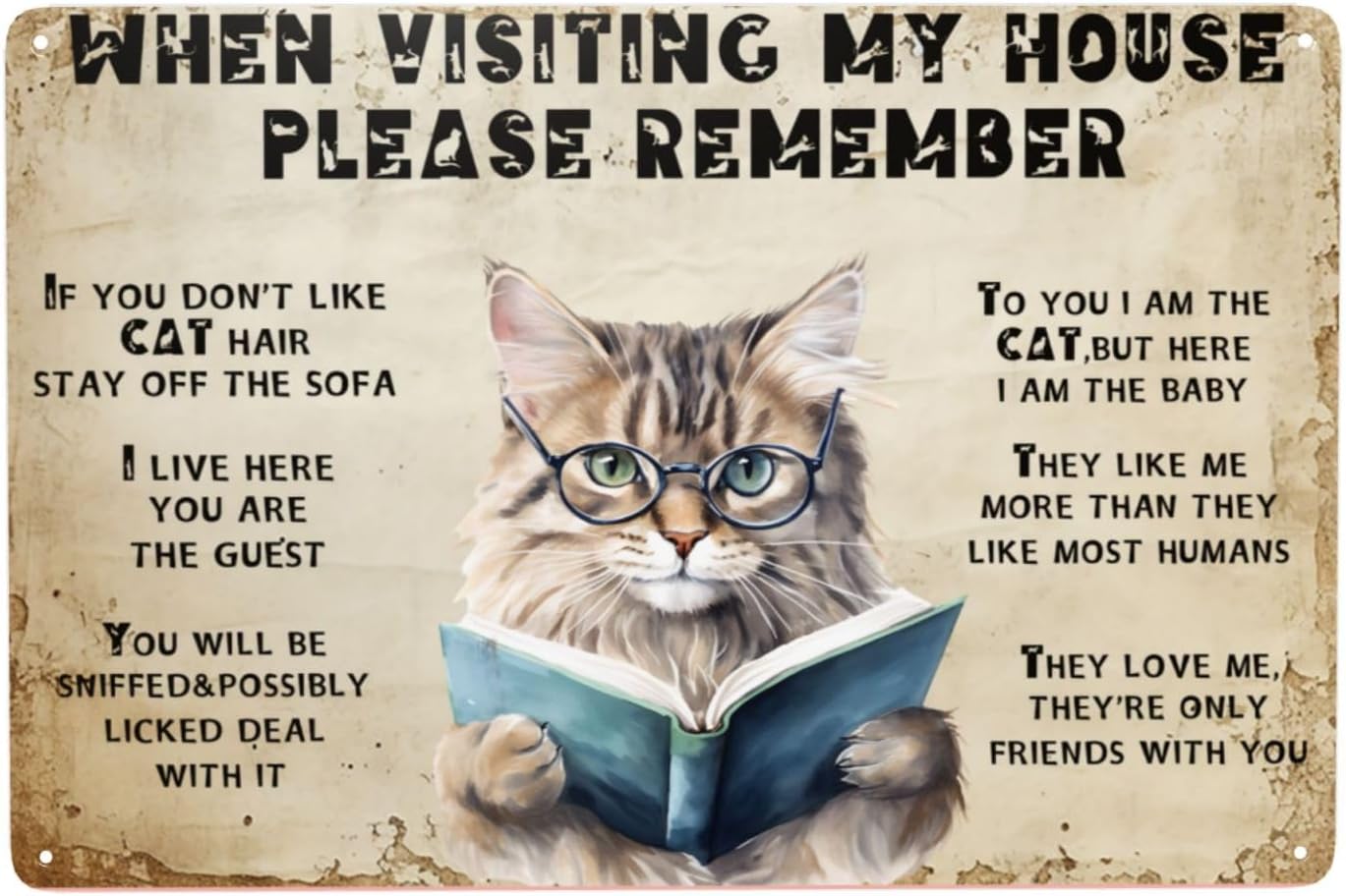 Amazon.com: Funny Cat Rules Metal Sign, Cat's Metal Signs Artwork, When ...