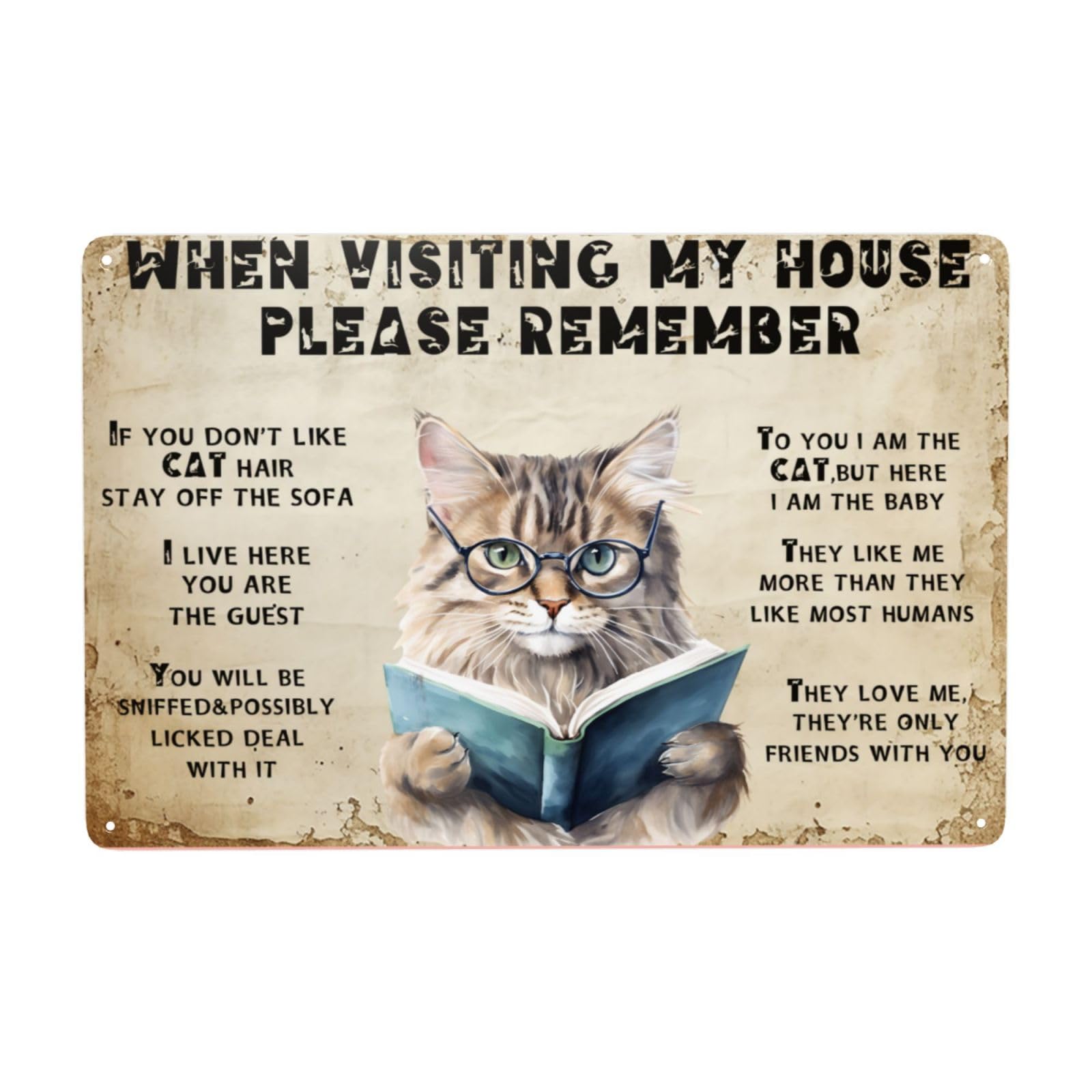 Amazon.com: Funny Cat Rules Metal Sign, Cat's Metal Signs Artwork, When ...