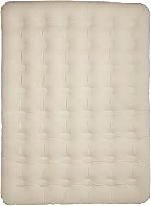 Coleman QuickBed Single-High Inflatable Air Mattress, Leak-Free Airbed ...