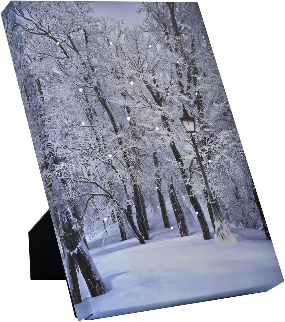 Amazon.com: LED Art 8x6in Tabletop Canvas Light Up Pictures w/ Timer ...