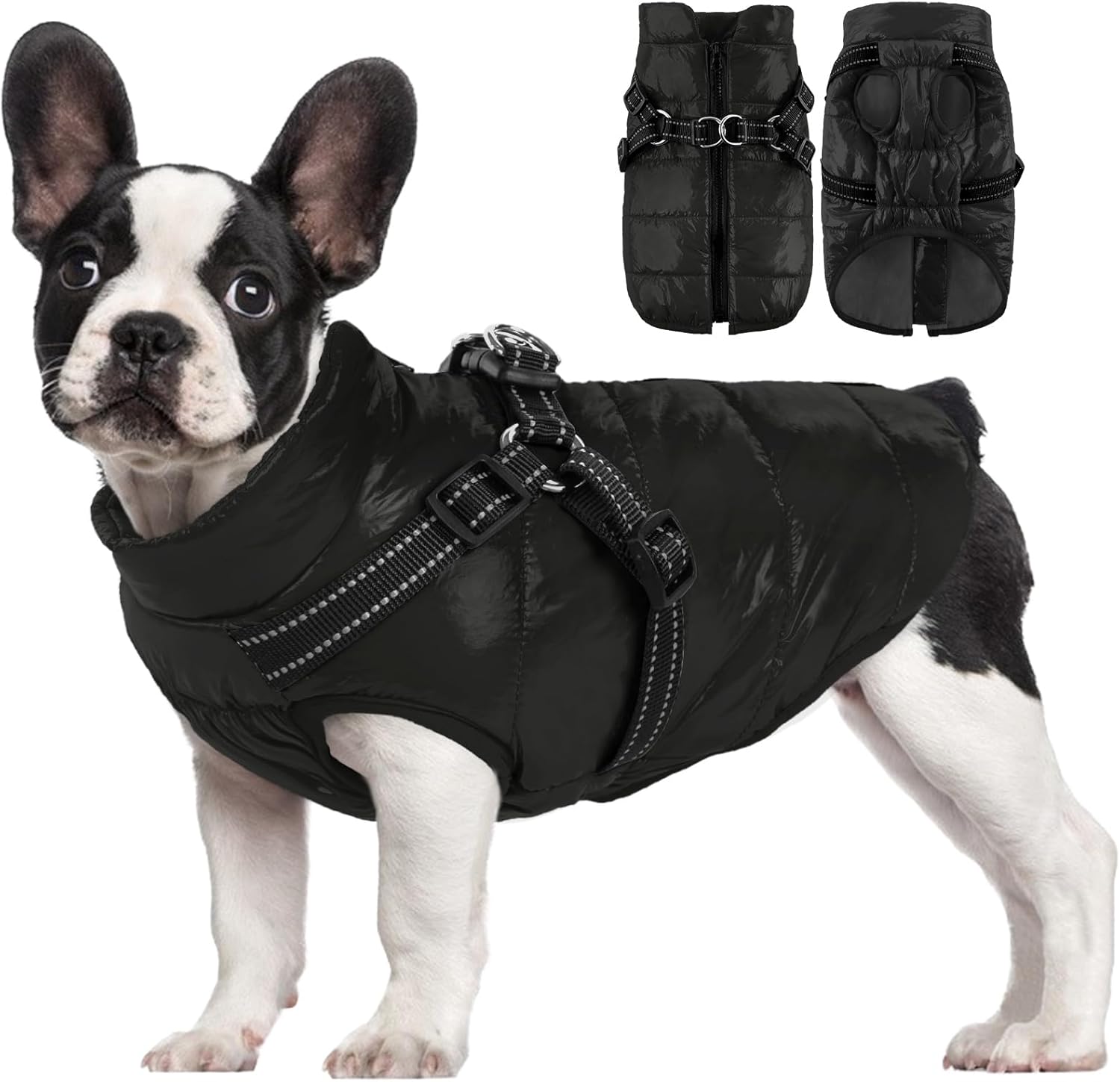 Amazon.com : AOFITEE Small Dog Coat with Harness Built in, Waterproof ...