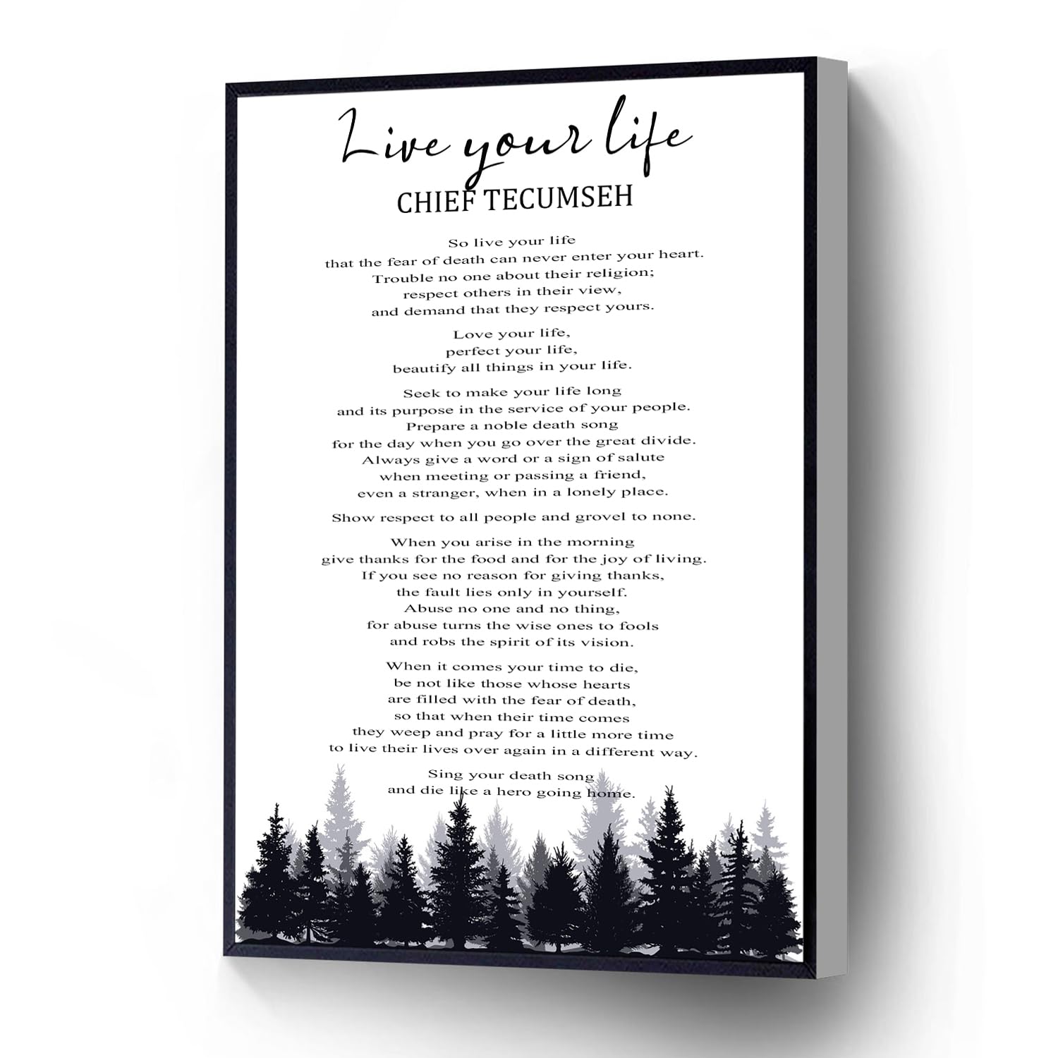Amazon.com: Live Your Life Modern Canvas Wall Art Chief Tecumseh Poem ...