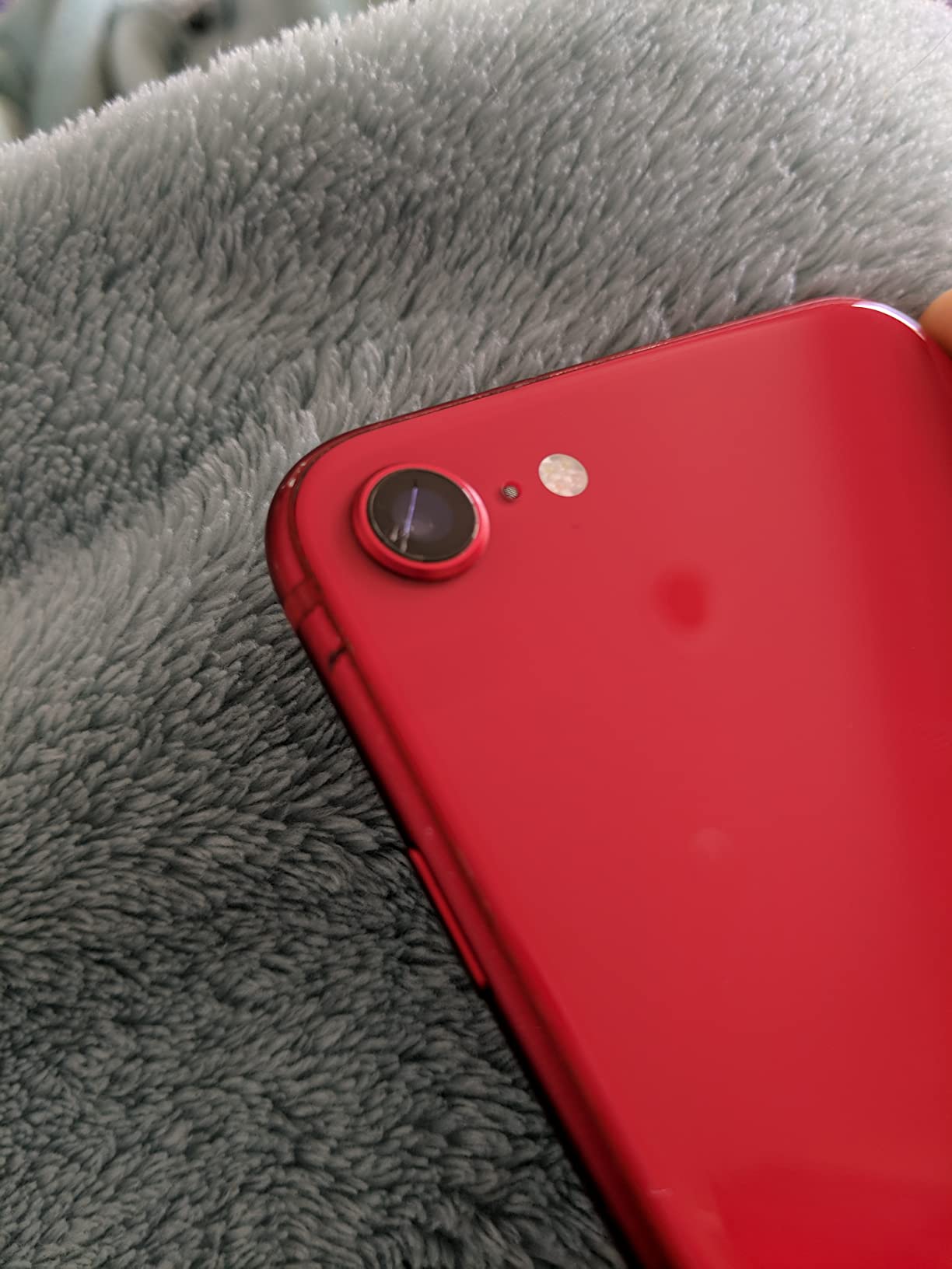 iPhone SE 2nd Gen 64GB (Renewed) : Amazon.com.au: Electronics