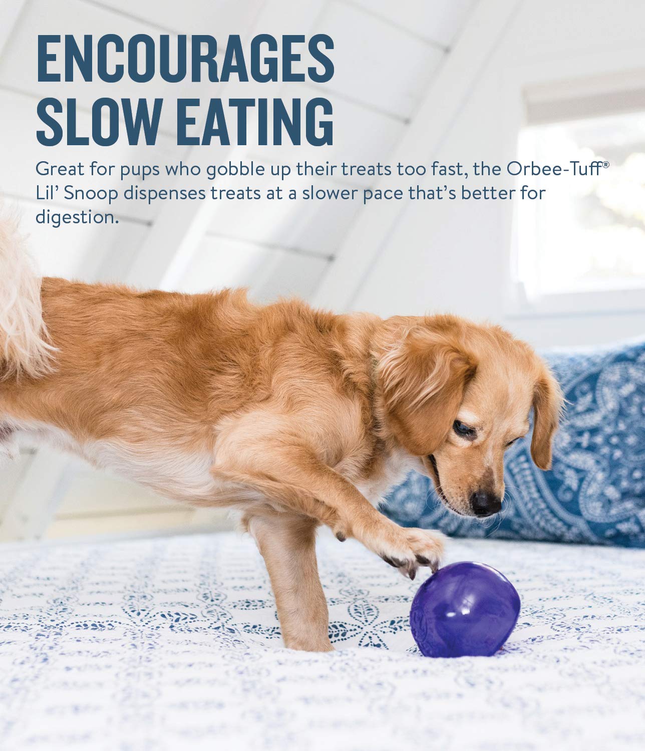 Planet Dog Orbee-Tuff Lil’ Snoop Interactive Treat Dispensing Dog Toy ...