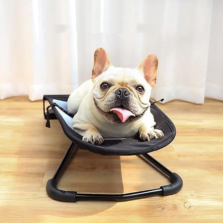 Amazon.com : Dog Rocking Chair, Portable Foldable Breathable Dog Beds ...
