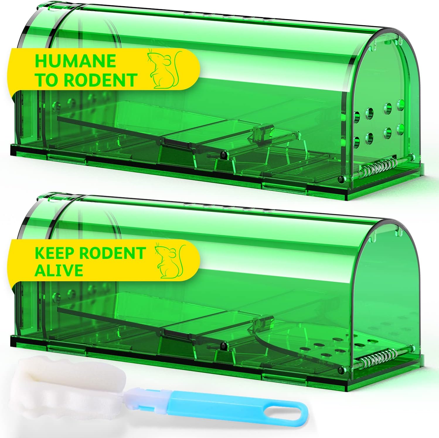 Amazon.com : Rat Traps Indoor (2 Pack) Catch Rats, Mice, and Voles Fast ...