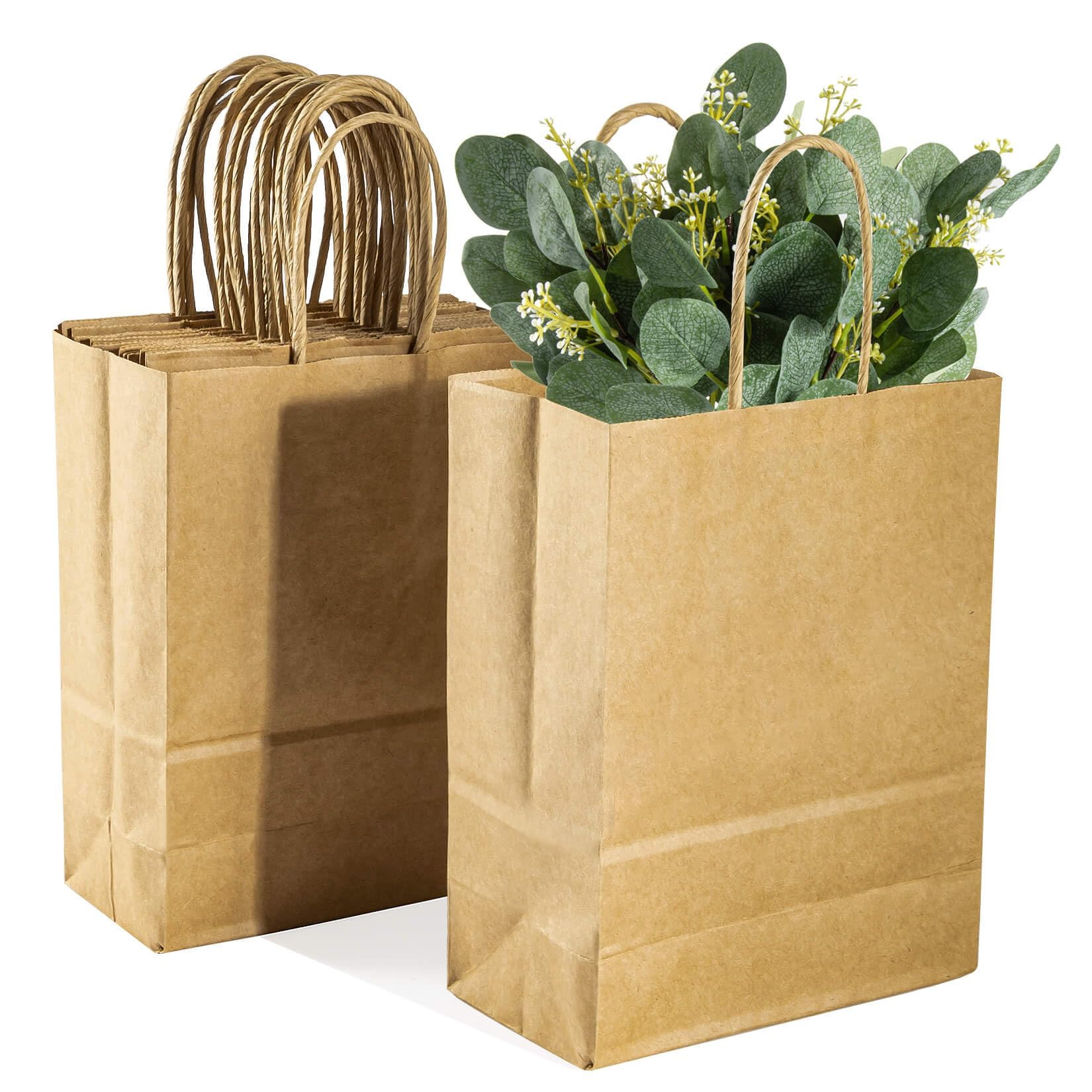 Amazon.com: MAQIHAN Small Kraft Bags with Handles - Kraft Paper Bags ...