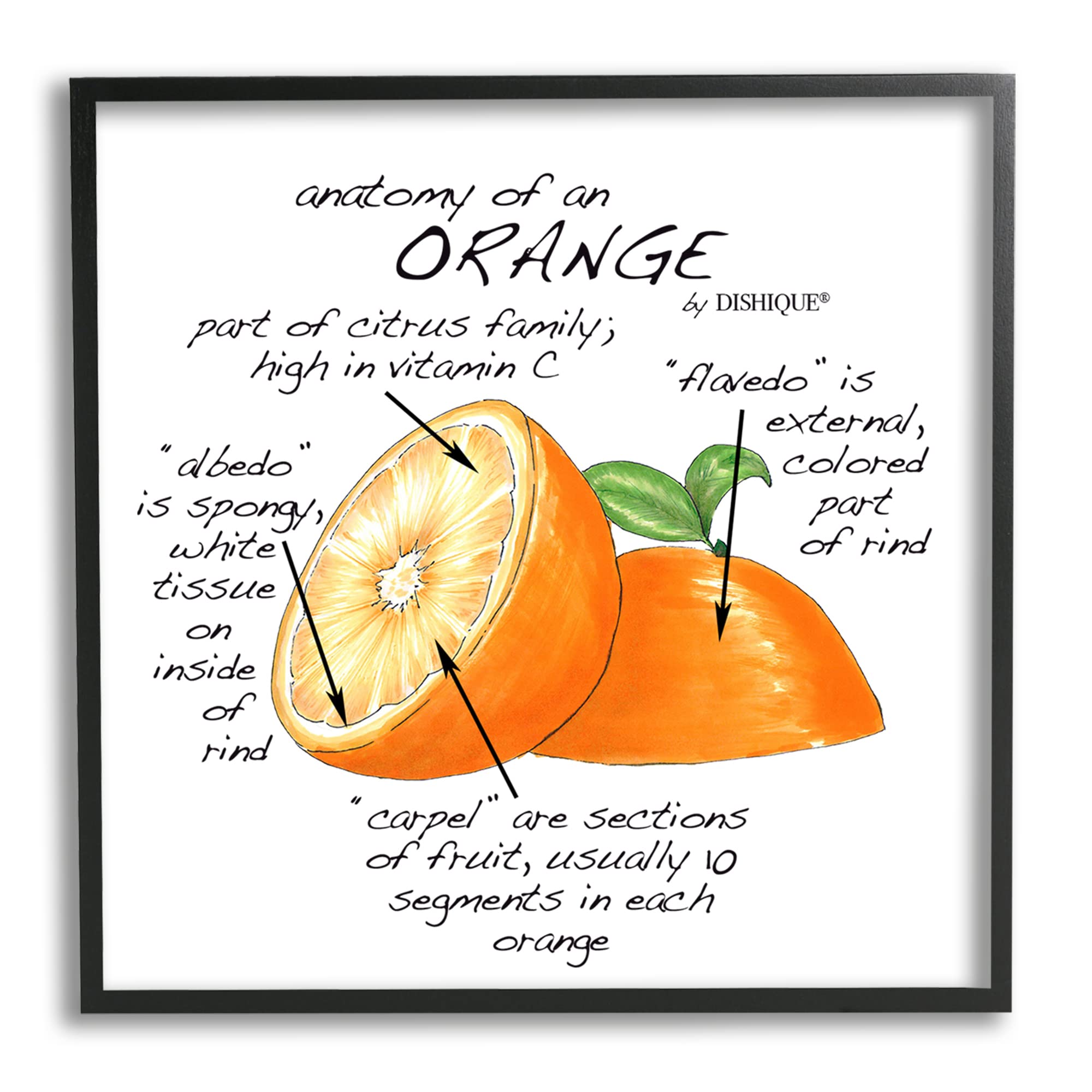 Orange Inside Diagram