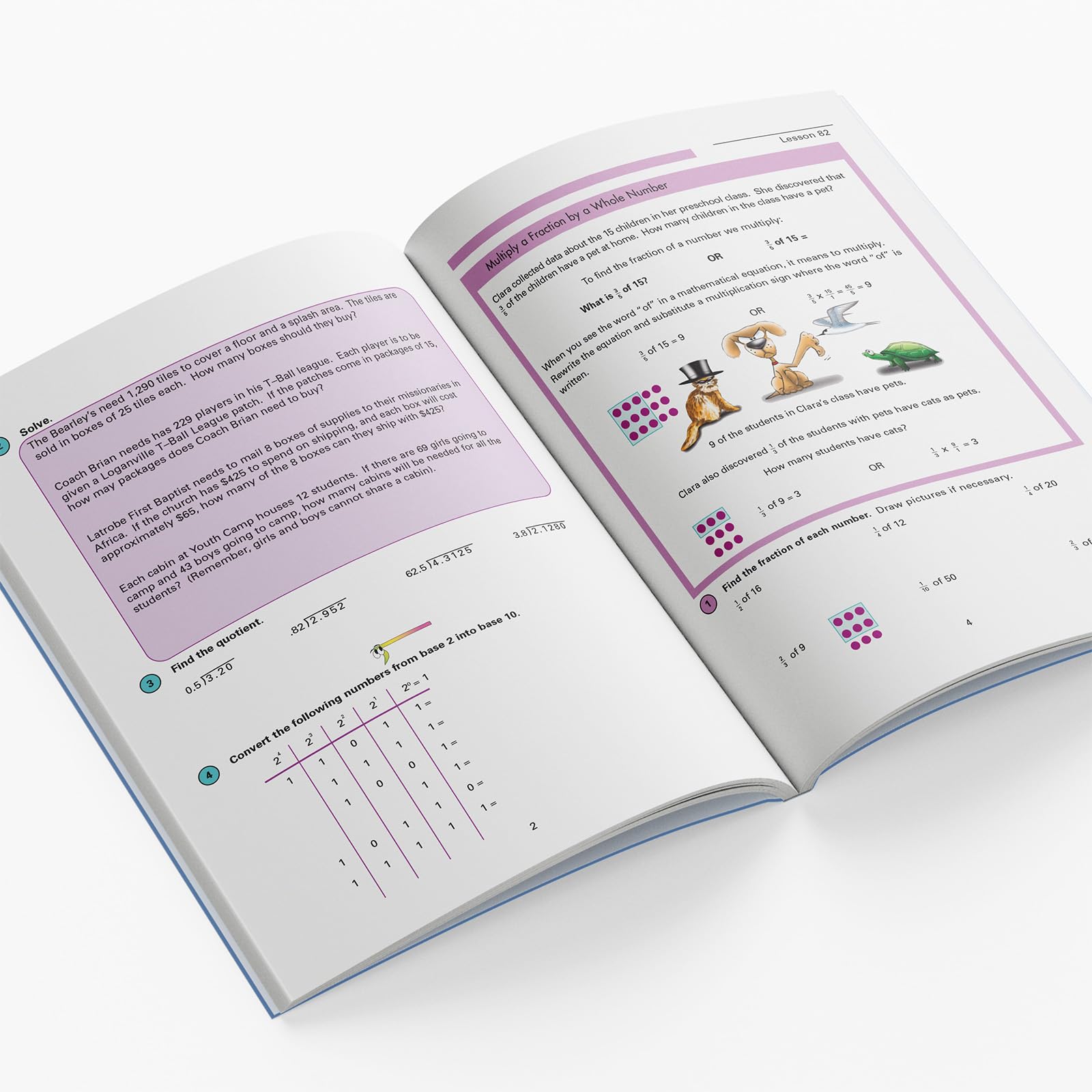 Snapklik.com : Horizons Math 6th Grade Student Book 2