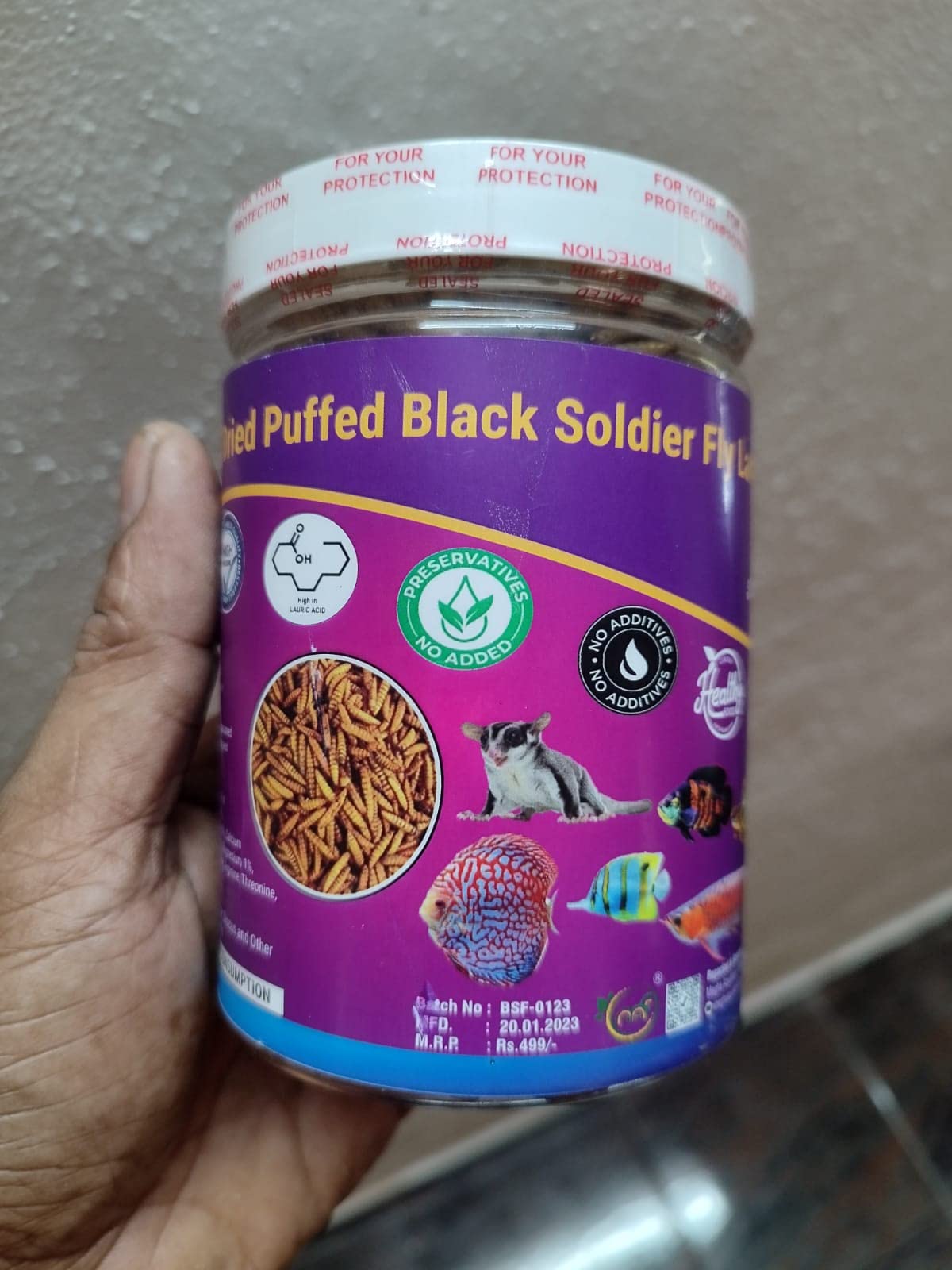 MaF® Black Soldier Fly Larvae Dried 25 Gram +5 Gram free Starter Pack ...