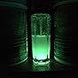 Amazon.com: Glow Worm - Phosphorescent Powder - 6 Ounce (Yellow-Green)