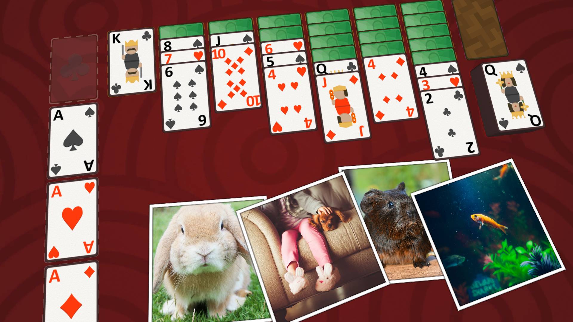 Solitaire Pets TV - App on Amazon Appstore