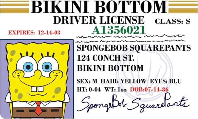 Amazon.com: Signs 4 Fun Parody Driver’s License - Spongebob ID - Fake ...