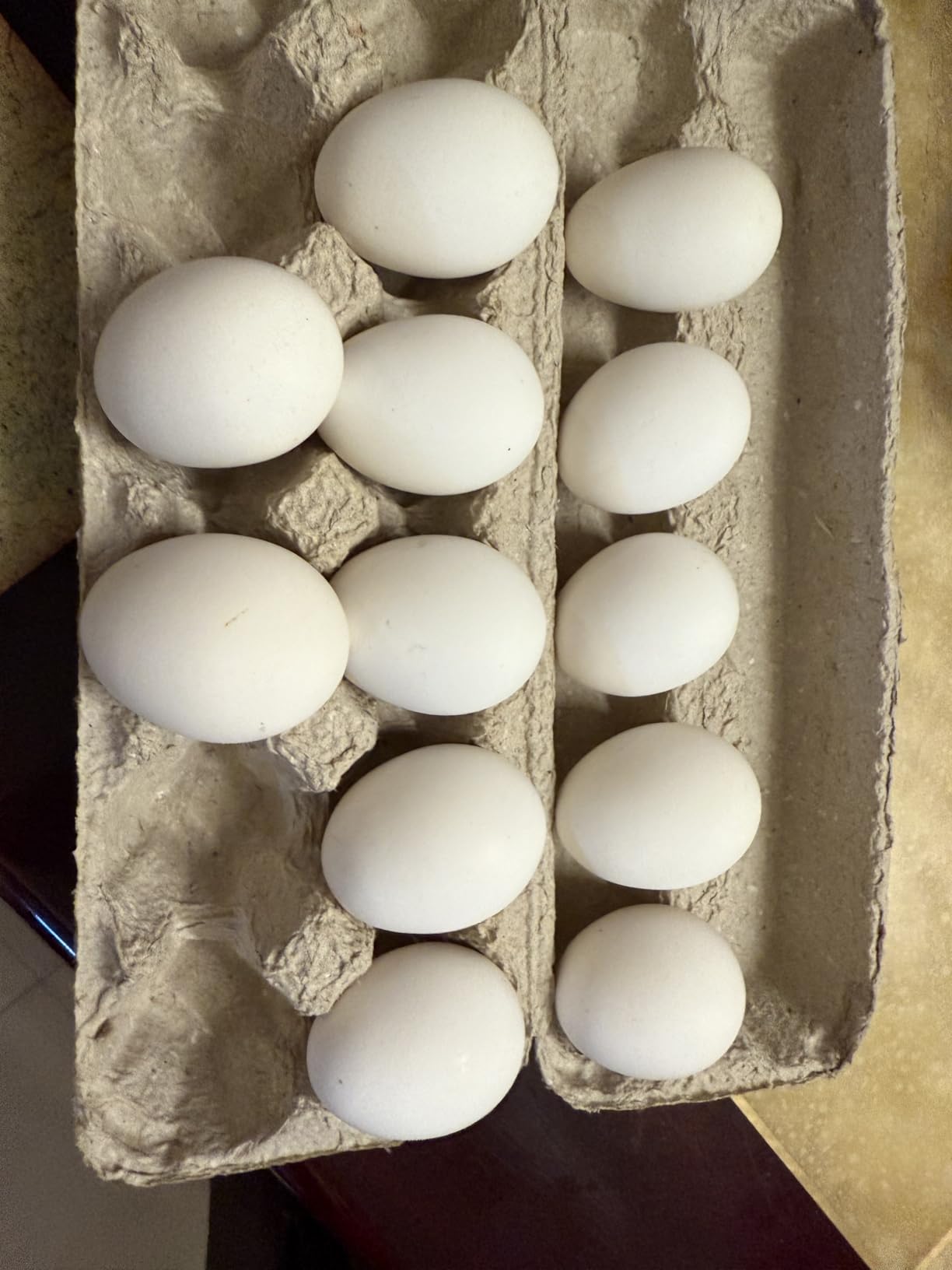 Fresh Eggs, Pack of 12 : Amazon.in: Grocery & Gourmet Foods