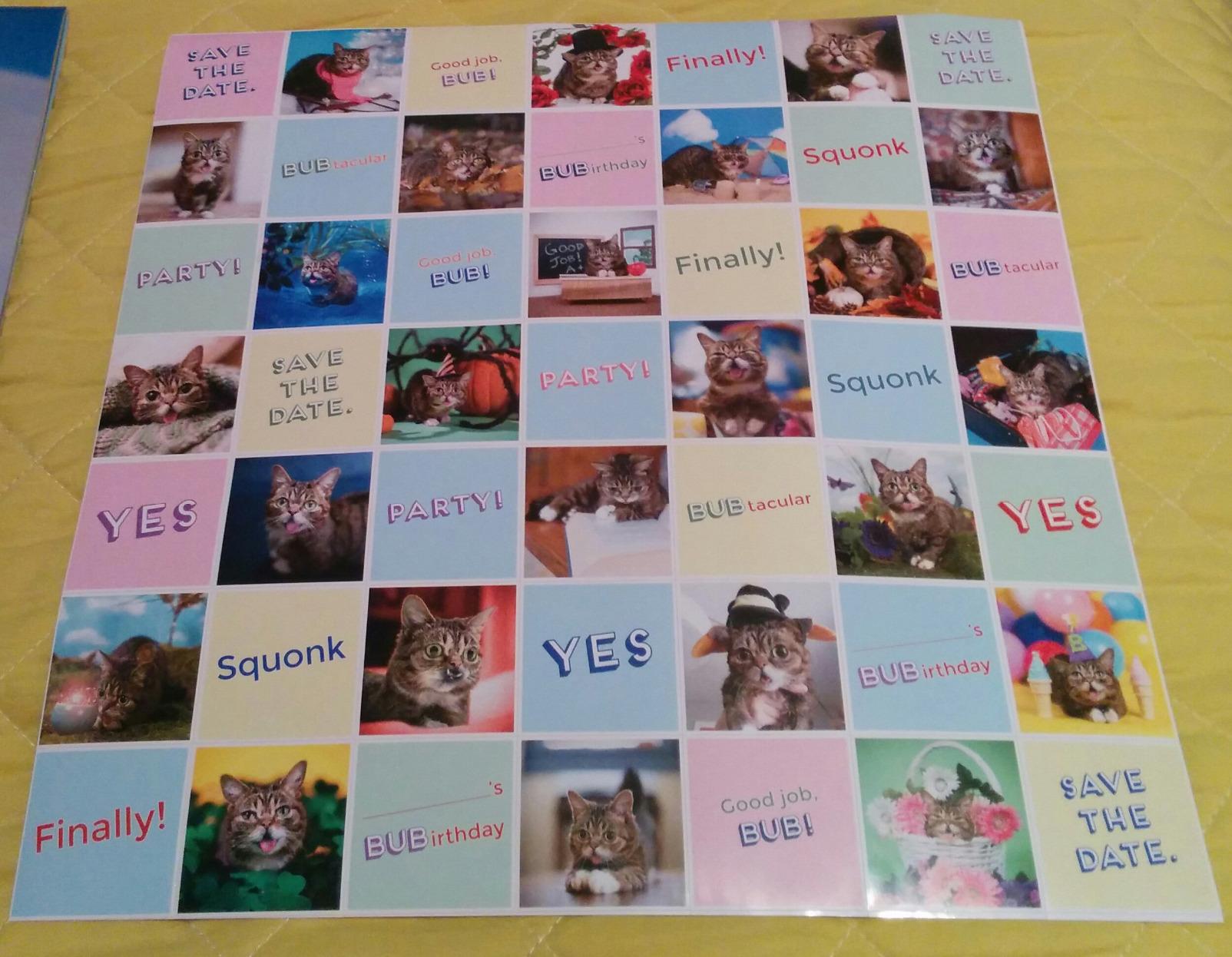 Amazon.com: Lil Bub 2016 Wall Calendar: 9781419717284: Lil Bub, Lil Bub ...