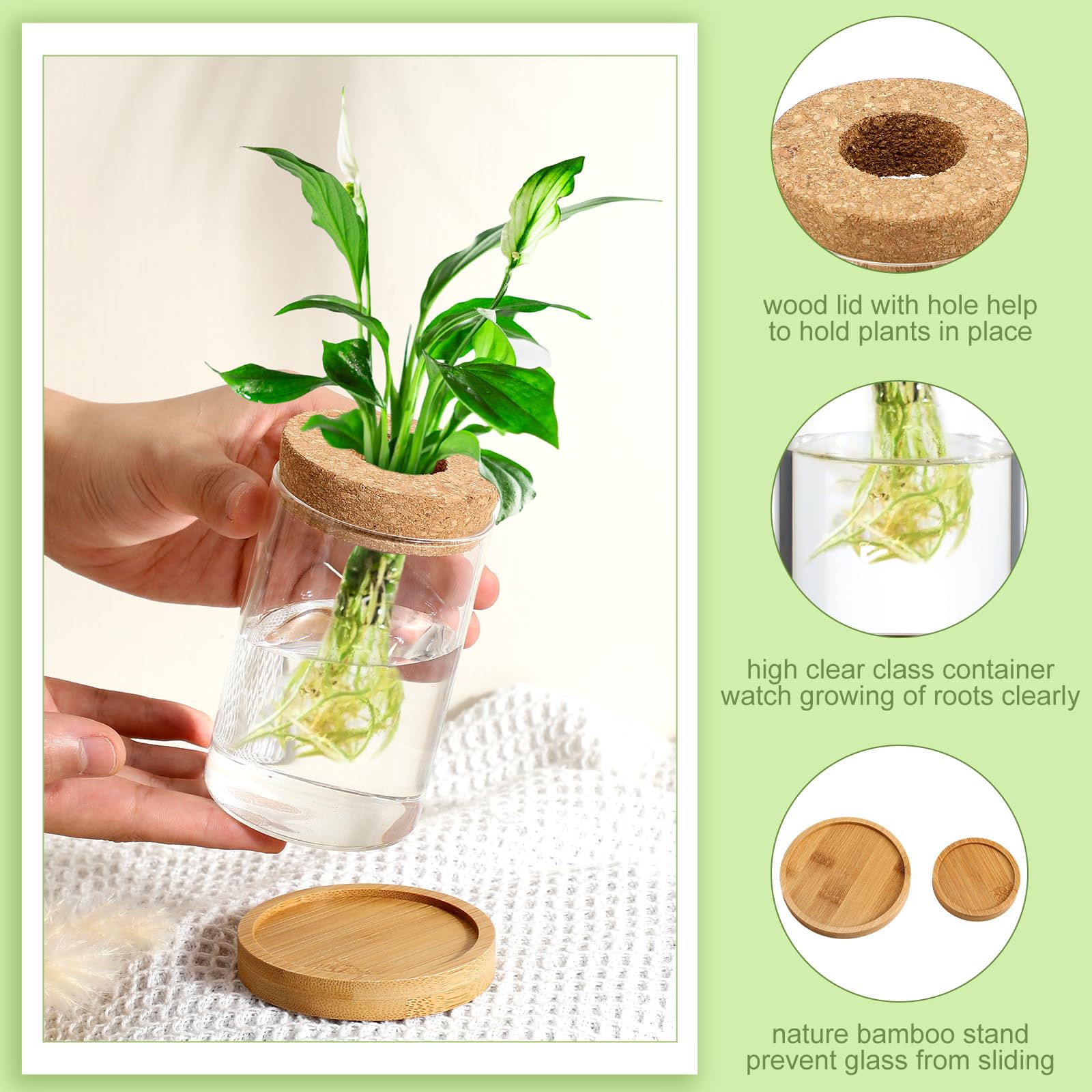 Glass Rooting Containers High Potential, Low Code: How Modular
