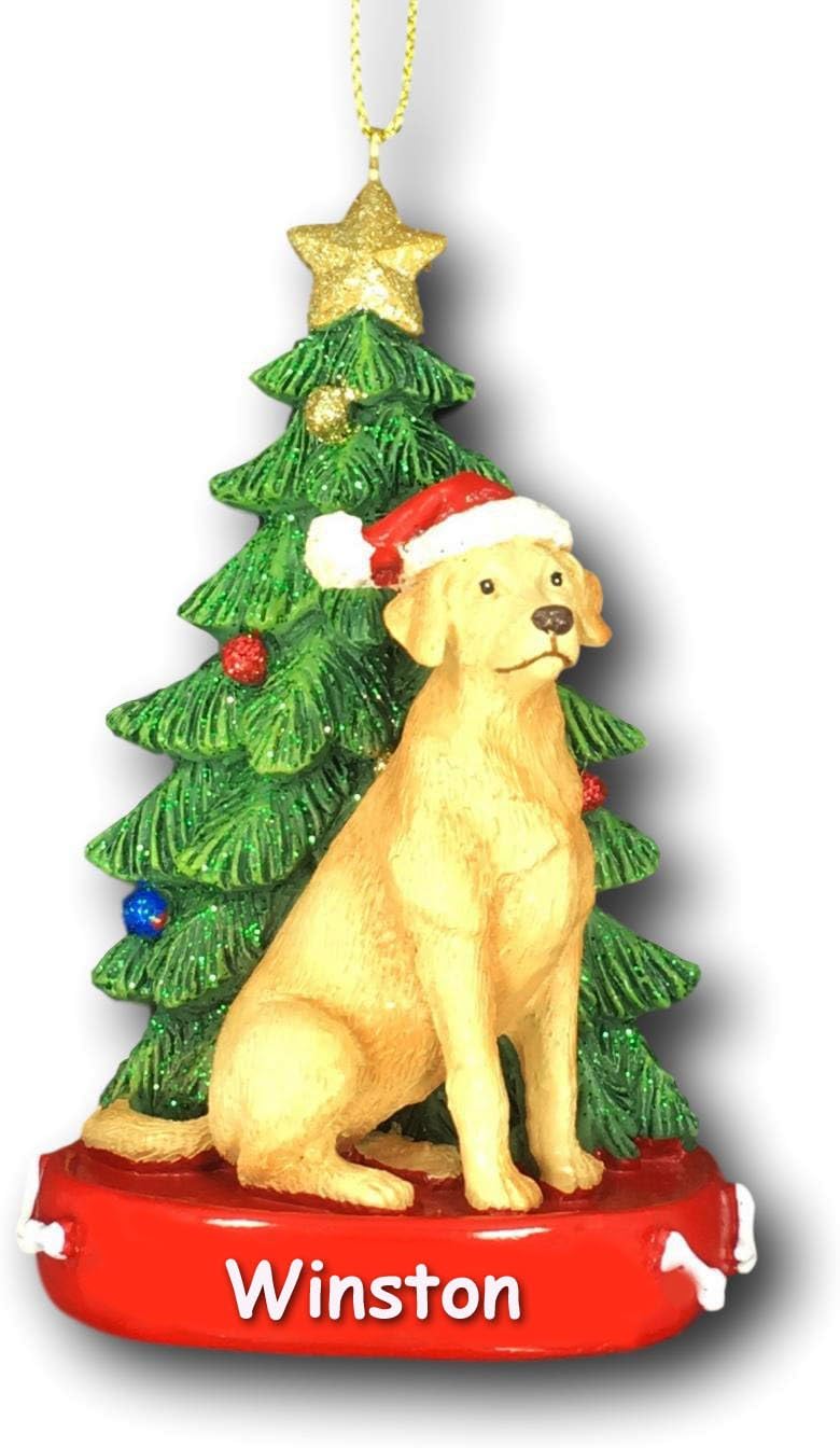Amazon.com: Personalized Yellow Lab Labrador Retriever Dog with Santa ...