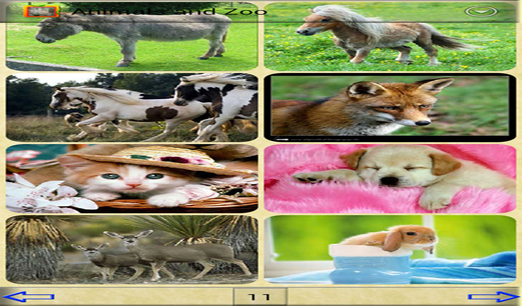 Animals and Zoo - App on Amazon Appstore