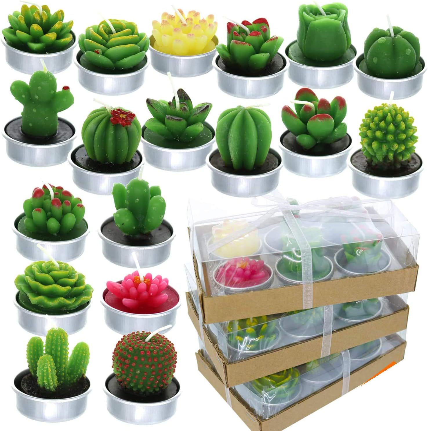 Amazon.com: MTLEE 24 Set Succulent Cactus Candles Delicate Cactus ...
