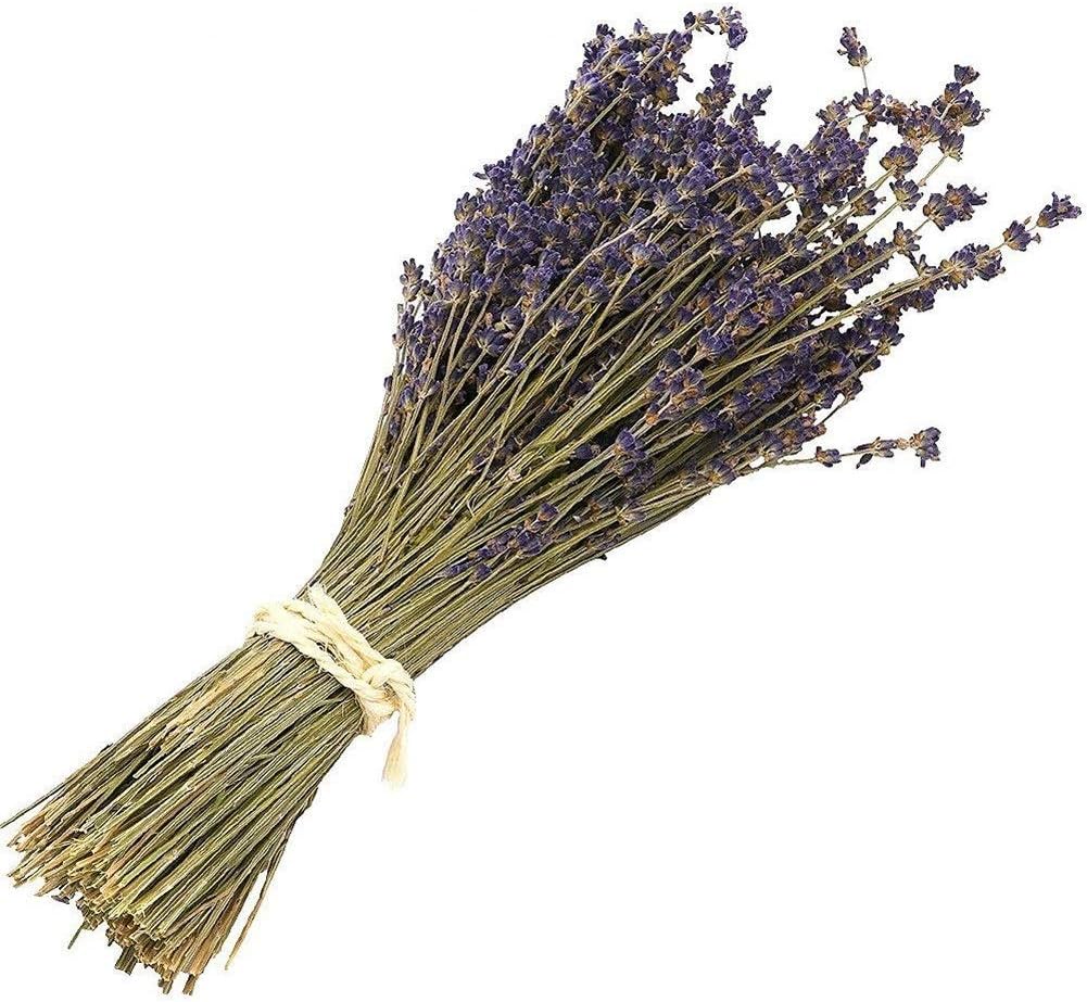 Amazon.com: Natural Dried Lavender Bundles - Freshly Harvested Lavender ...