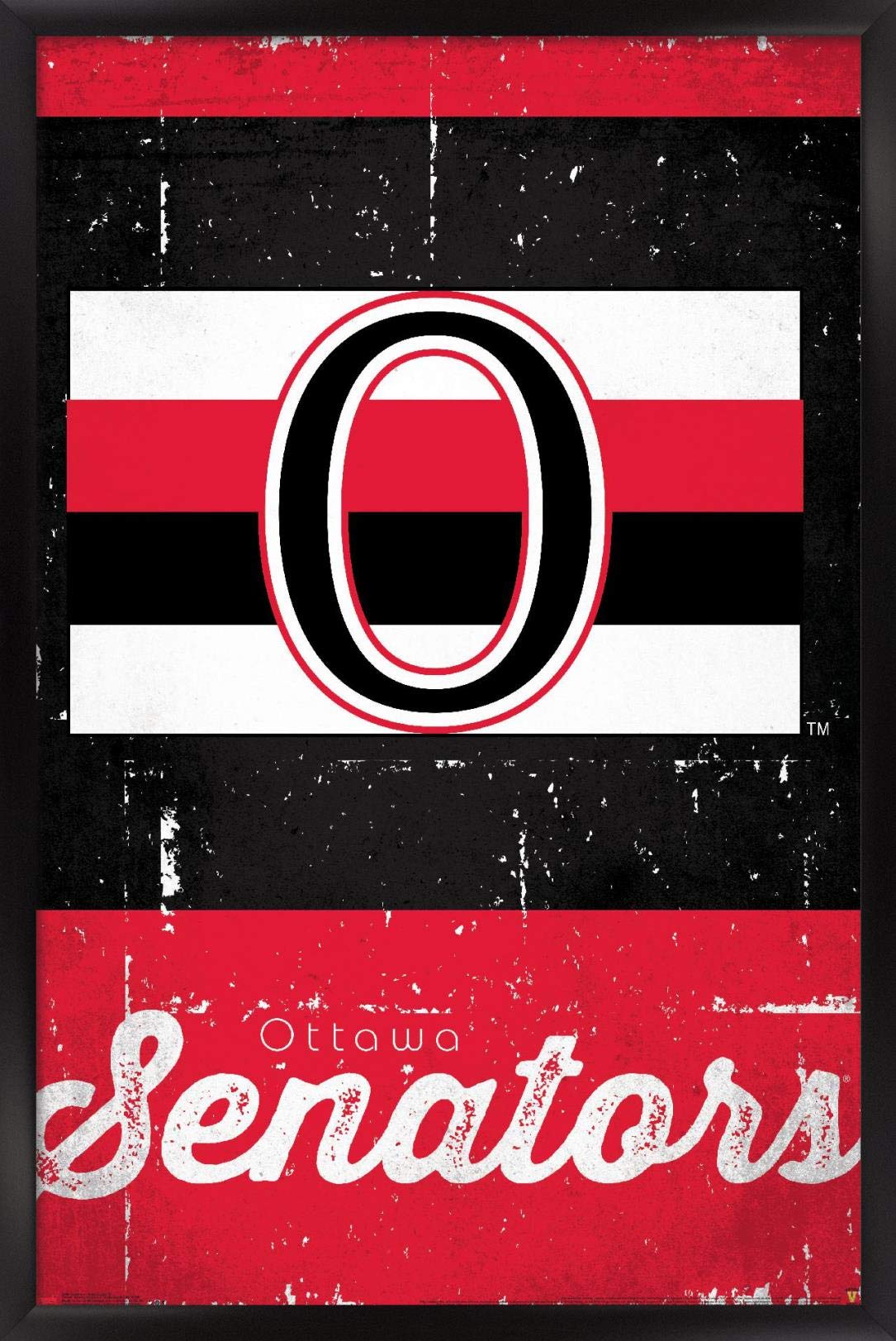 2013 Ottawa Senators Logo