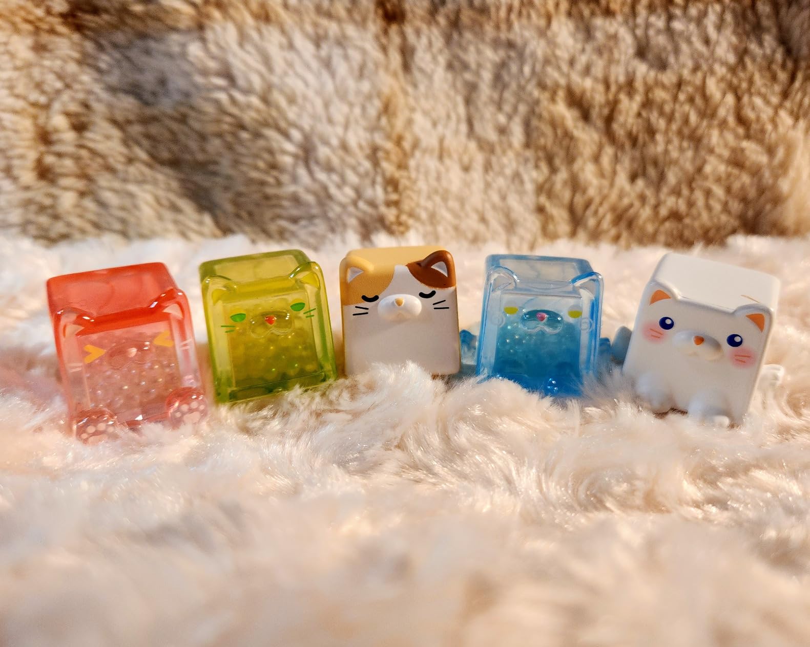 Amazon.com: BEEMAI Square Cat Series Blind Pack (5PCs in one bag ...