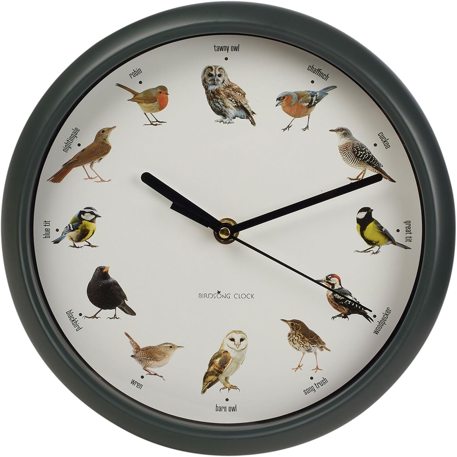 URBNLIVING Bird Wall Clock with Real Bird Sounds Each Hour - Singing ...