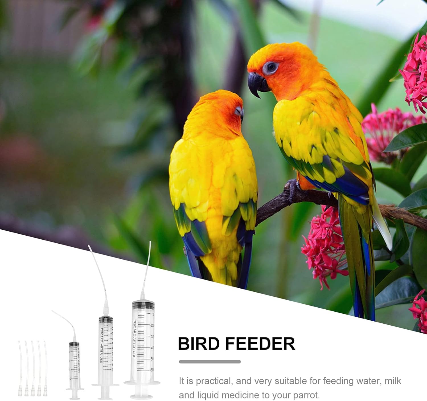 VILLCASE Bird Feeding Syringe Set, Baby Birds Syringe Feeder Parrot ...