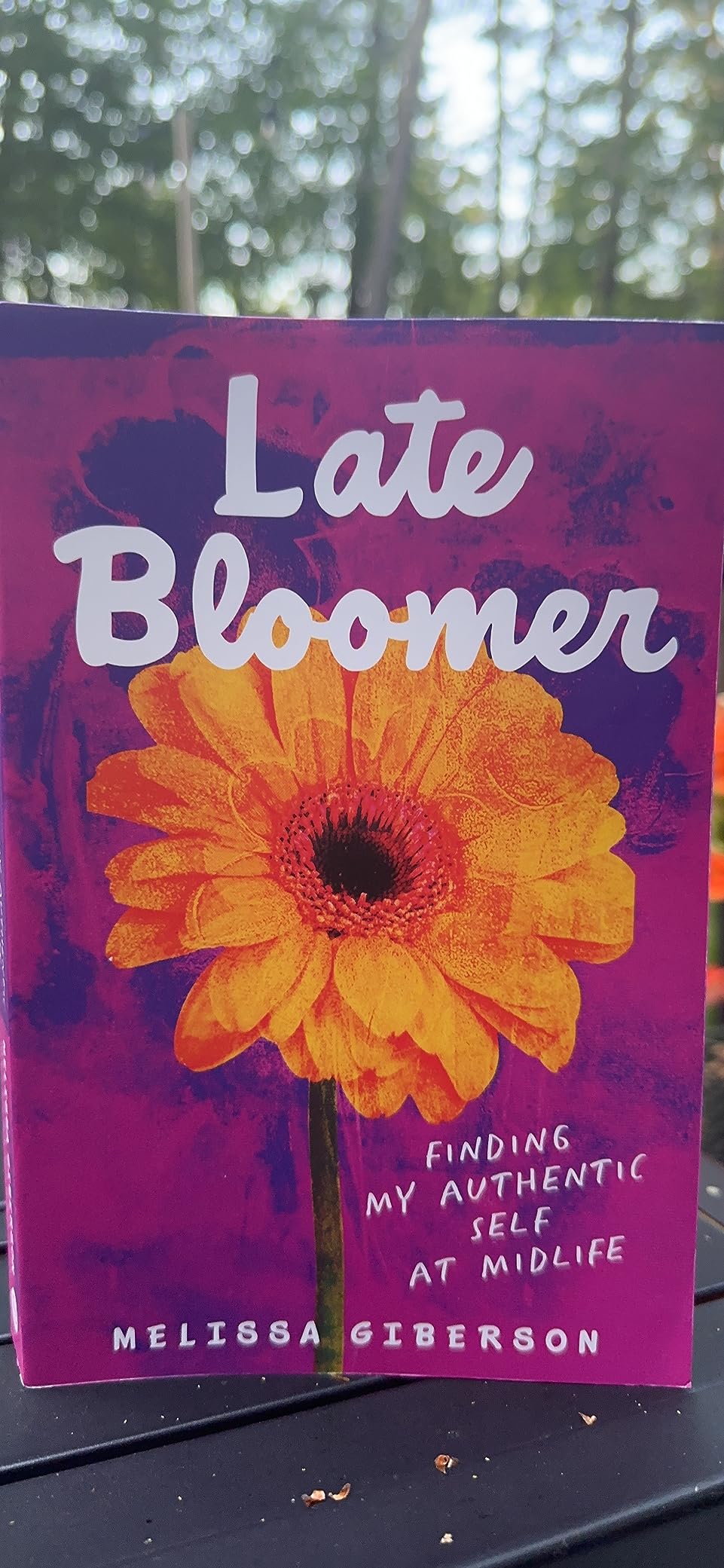 Amazon.com: Late Bloomer: Finding My Authentic Self at Midlife: 9781647425197: Giberson, Melissa ...