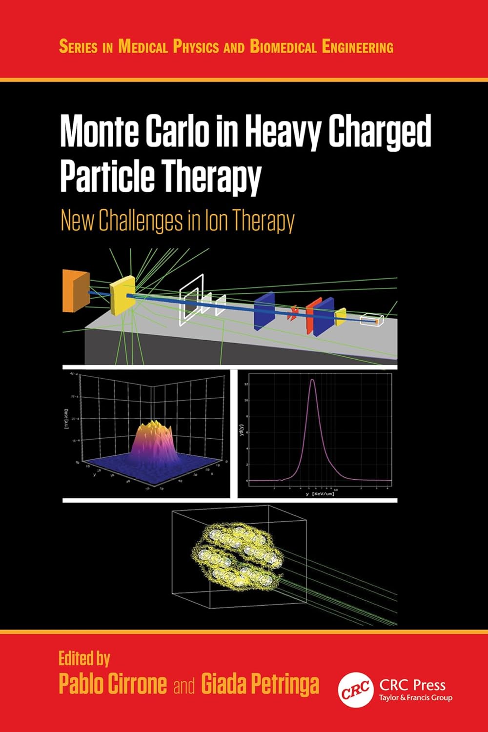 Amazon.com: Monte Carlo in Heavy Charged Particle Therapy: New Challenges in Ion Therapy (ISSN ...