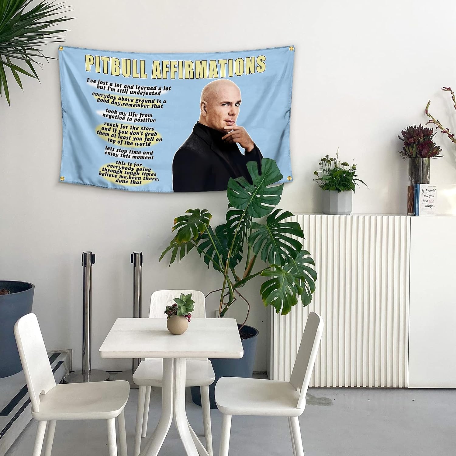 Bandera de Mr Worldwide Pitbull de 3 x 5 pies divertido póster de mano ...
