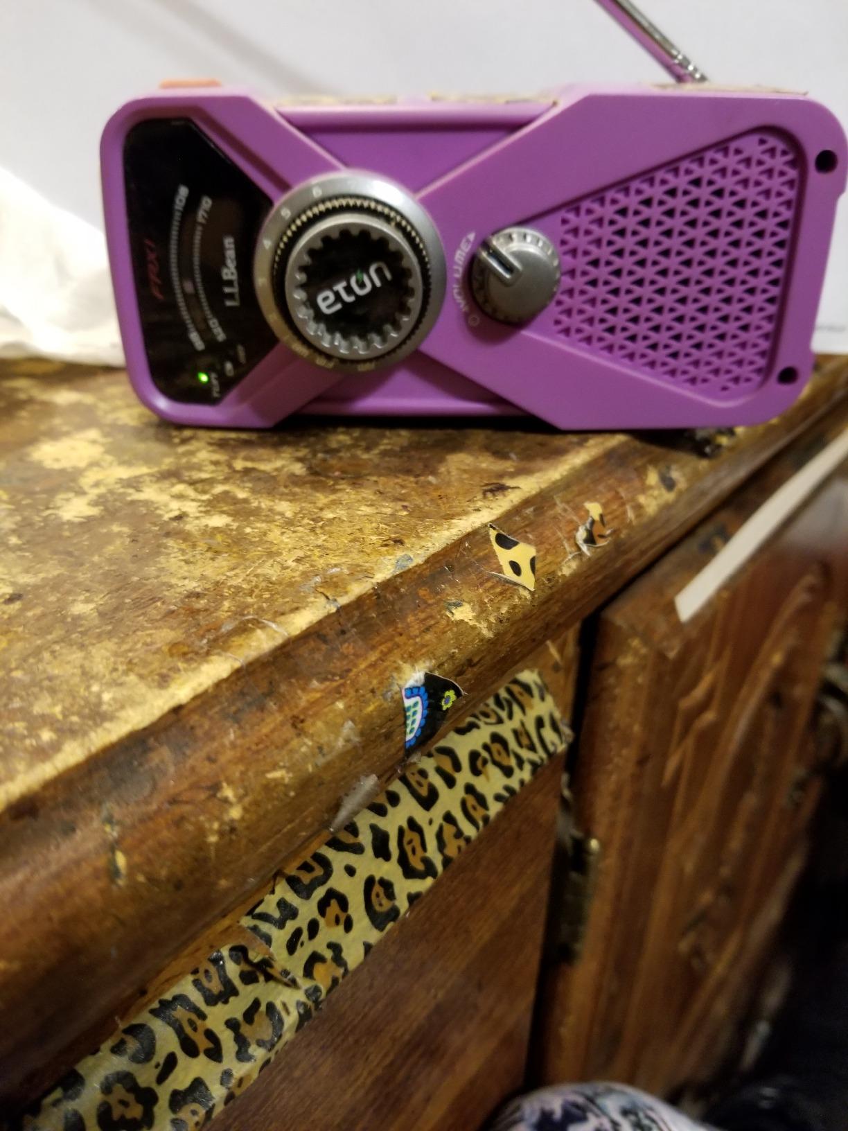 Amazon.com: Eton Hand Turbine AM/FM Weather Radio and LED Flashlight ...