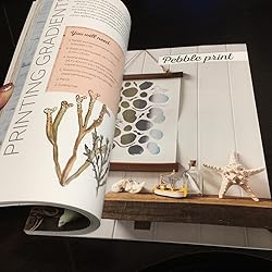 Beginner's Guide to Screen Printing: 12 beautiful printing projects ...