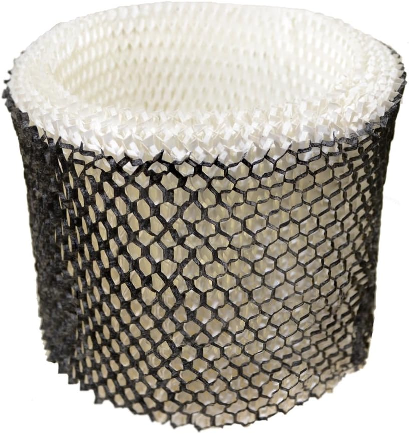 Amazon.com - Walgreens Cool Moisture Humidifier Filter W889-WGN, 1 Each ...