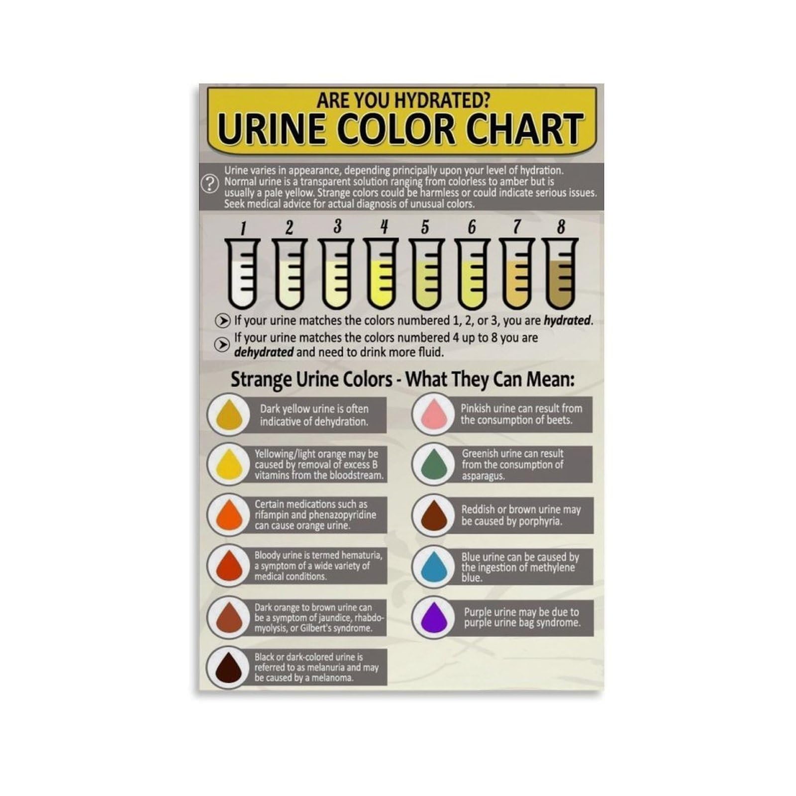 Urine Color Chart And Meaning