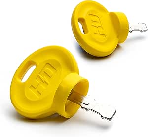Amazon.com : HD Switch 2 Pack Protective Umbrella Key fits Cub Cadet ...