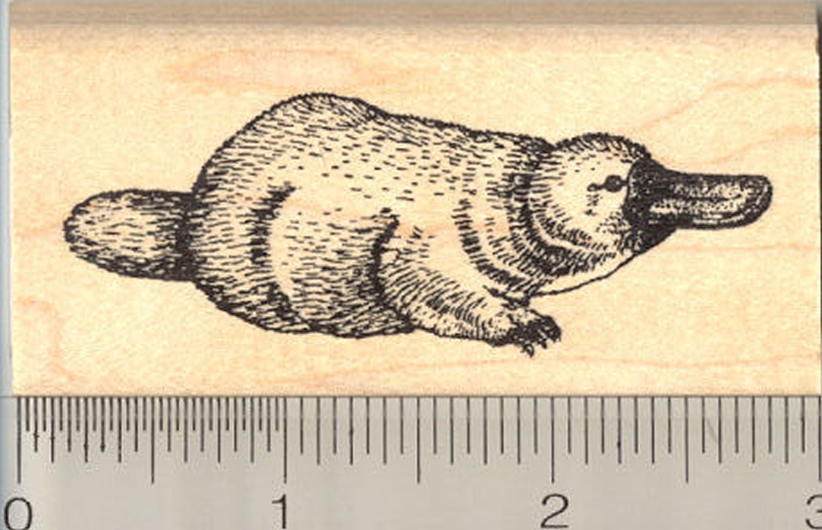 Amazon.com: Platypus Rubber Stamp, Duck-Billed Semiaquatic Mammal of ...