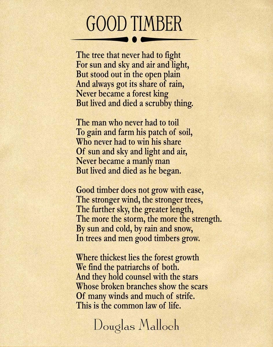 Wallbuddy Good Timber Poem by Douglas Mallock Inspirational Life Poem ...