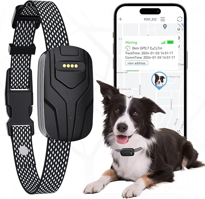 Collier GPS pour Chiens, Dog Tracker, GPS+WiFi+LBS Localisation Globale ...