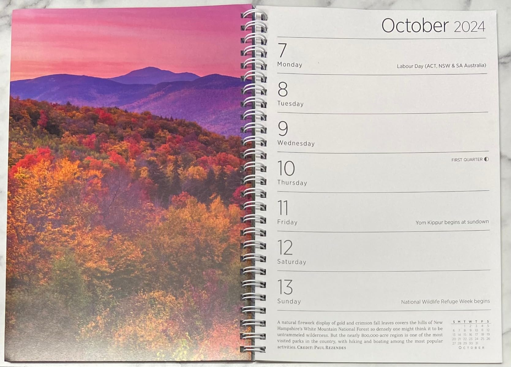 Amazon.com: Audubon Engagement Calendar 2024: A Tribute to the ...