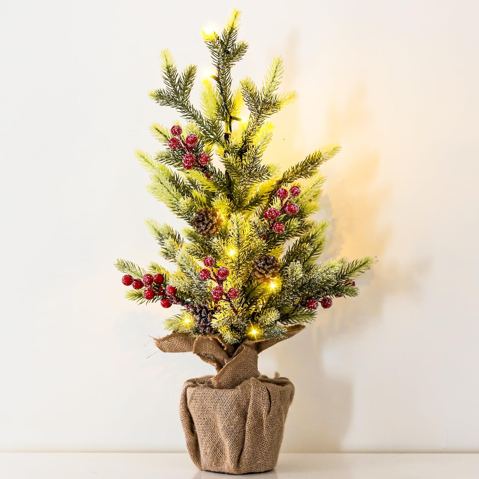 Amazon.com: 24In Prelit Small Christmas Tree with 10 LED Lights ...