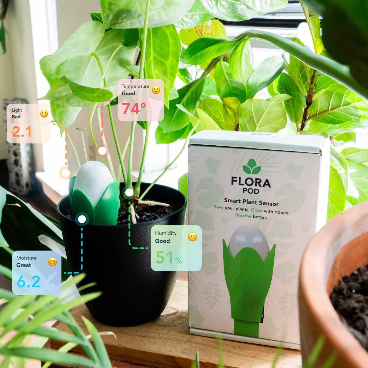 Amazon.com: Flora Pod AI-Powered Smart Plant Monitor | for Indoor or Outdoor Plants ...