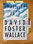 Infinite Jest: Wallace, David Foster: 9780316066525: Books - Amazon.ca